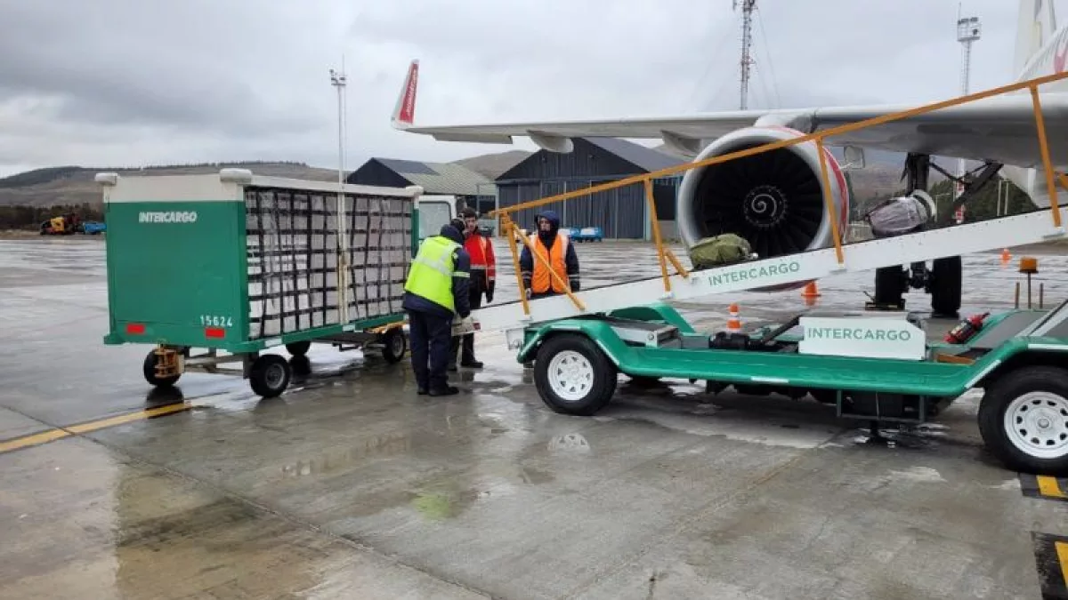 Intercargo fortalece su presencia en la Patagonia (con la apertura de ...